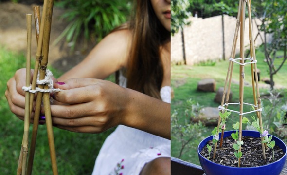 Kids gardening: The Sweetest Tepee