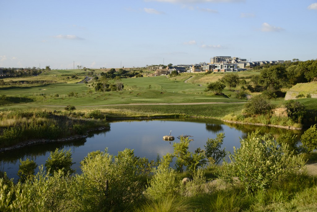 Steyn City: more than an estate
