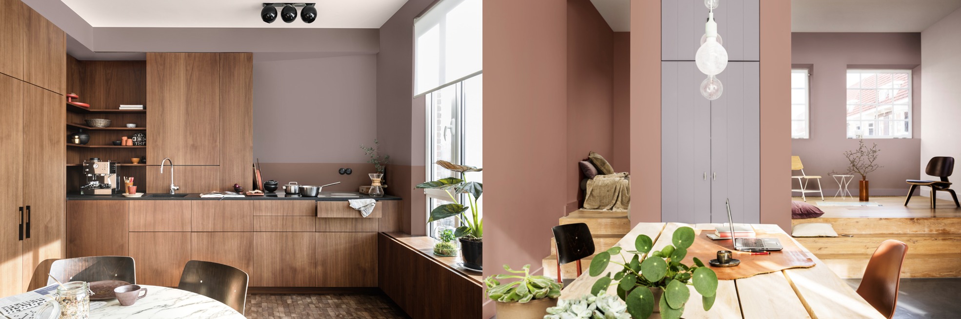 The colour connection