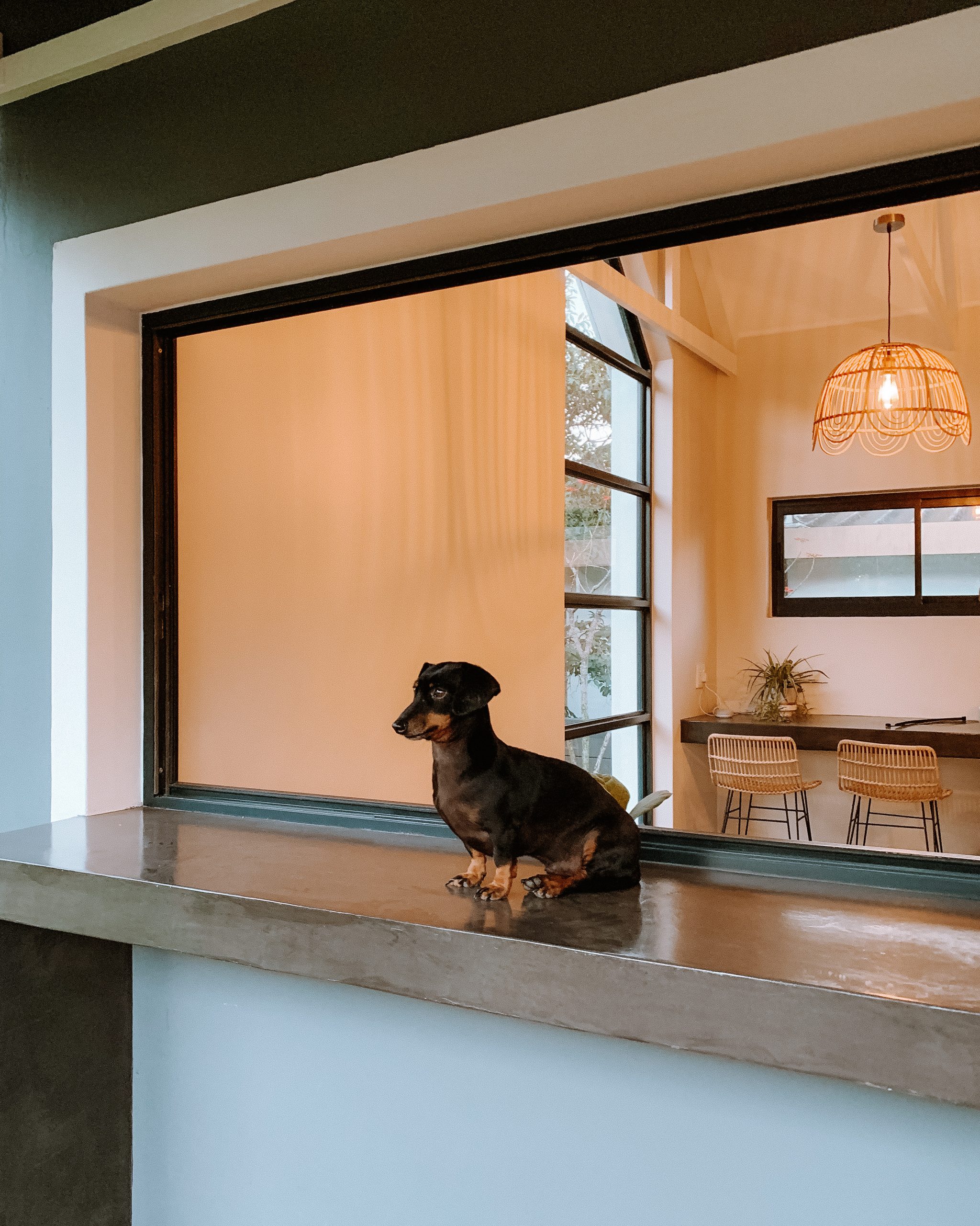 Cemcrete-Colour-Hardener-Slate-counter - SA Home Owner